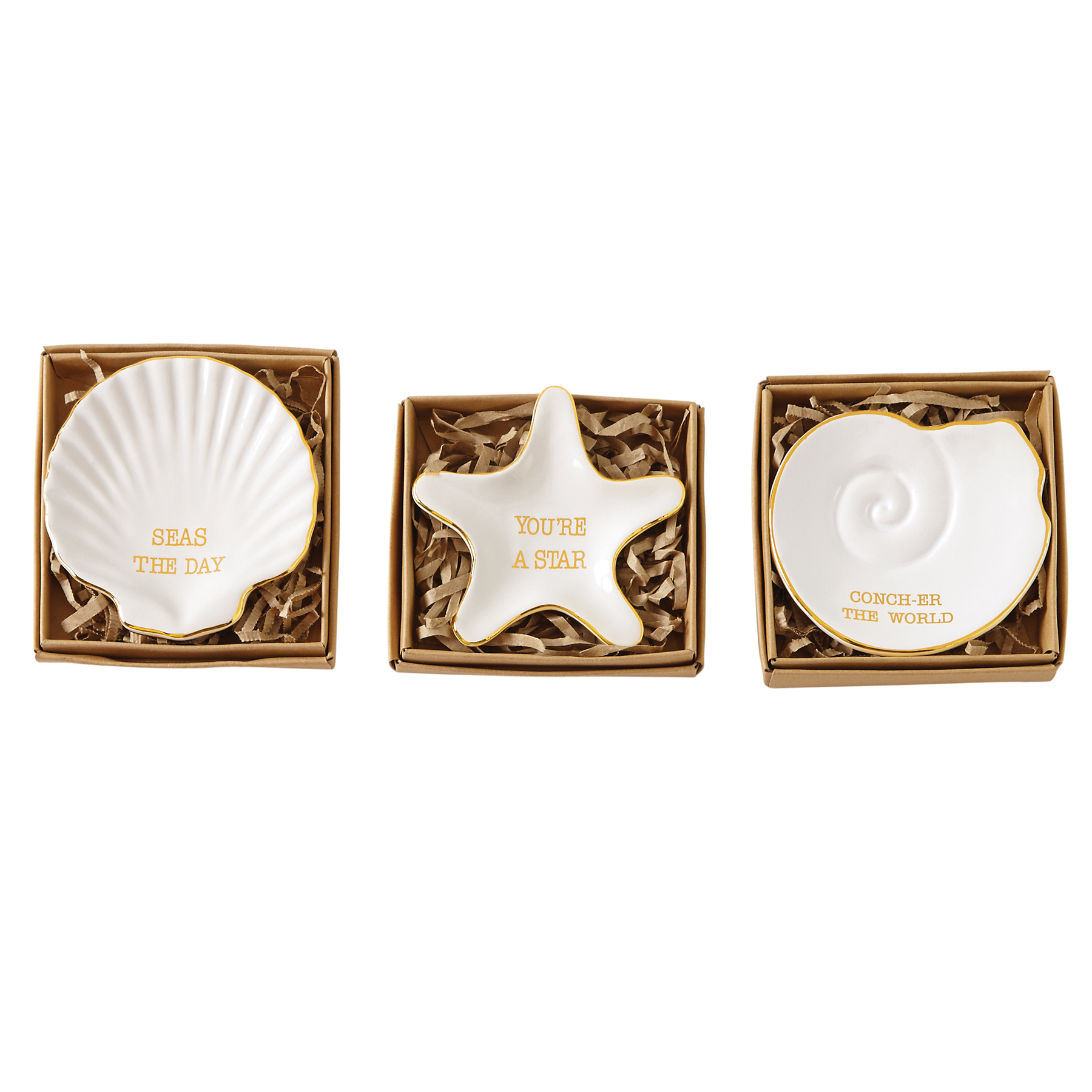 Shell Plate - Best of Everything | Online Shopping