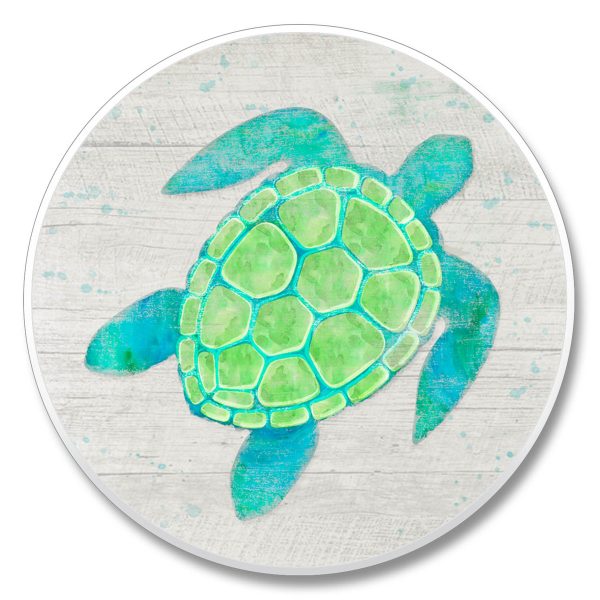 Turtle Car Coaster - Best of Everything | Online Shopping